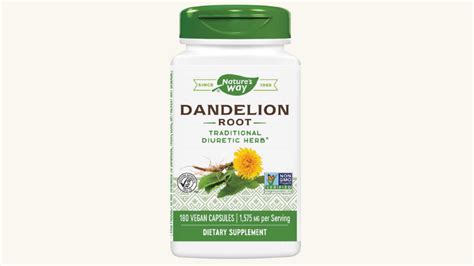 Top 6 Best Dandelion Root Supplements In 2026