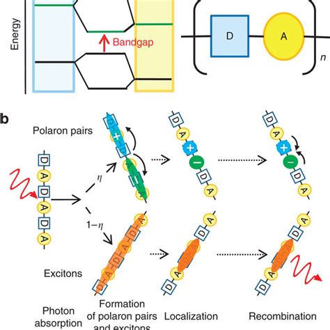 Electronic Structure And Photoinduced Polaron Pairs In Co Polymers A Download Scientific