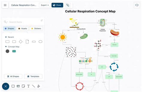 Cellular Respiration Concept Map Answer Key