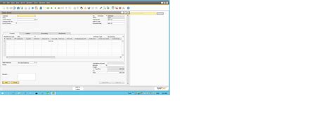 Solved Screen Size In The SAP B Version SAP Community