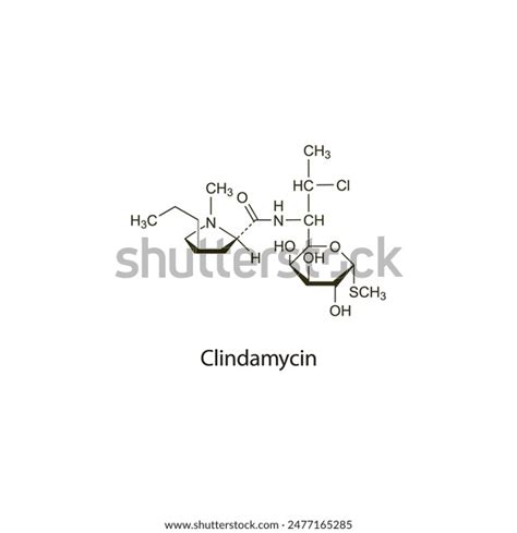 Clindamycin Flat Skeletal Molecular Structure Lincosamide Stock Vector Royalty Free 2477165285