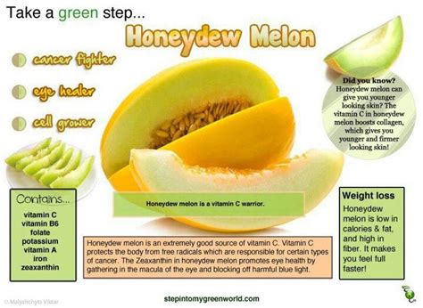 Honeydew Melon Honeydew Melon Healthy Benefits Nutrition
