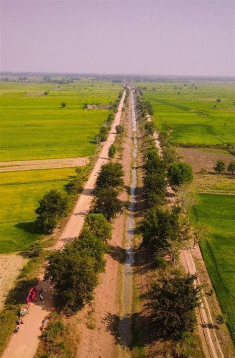 ស្រូវប្រាំងក្នុងឃុំចំនួនពីរ នៅ ស្រុកមង្គលបូរី ប្រឈមនិងខ្វះទឹក Siem Reap Post