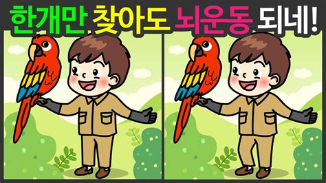 【다른그림찾기】한개만 찾아도 뇌운동 효과 두뇌회춘 시키는 두뇌훈련 인지력 집중력 관찰력 기억력 강화 두뇌게임【틀린그림찾기치매예방】 Youtube
