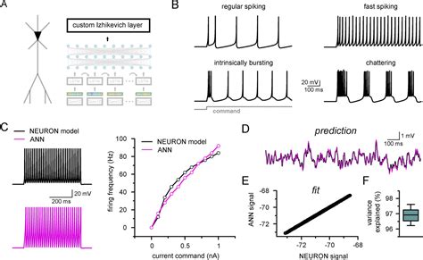 Figures And Data In Ultrafast Simulation Of Large Scale Neocortical