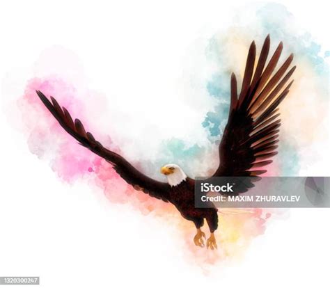 대머리 독수리 3d 그림은 흰색 배경에 고립 된 수채화 그림의 스타일 대머리독수리에 대한 스톡 사진 및 기타 이미지 대머리독수리 날기 수채화 Istock