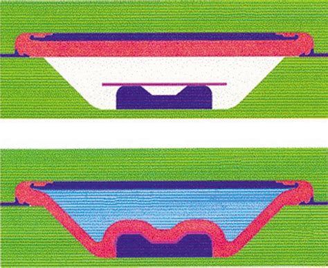 Understanding Fluid Cells What They Are And How They Work