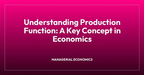 Understanding Production Function A Key Concept In Economics • Slm