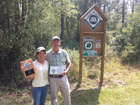 Tree Farm Families N C Tree Farm Program Inc