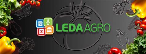 Овочі та фрукти Видання Sady Ogrody ознайомило з актуальними цінами на польські та імпортні