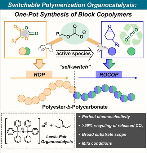 Switchable Polymerization Organocatalysis From Monomer Mixtures To