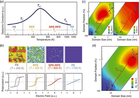 Phase Field Simulations Of The Superparaelectric Spe Design In Download Scientific Diagram