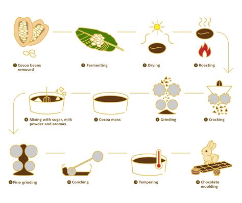 Cocoa Beans To Chocolate Process At Robert Fong Blog