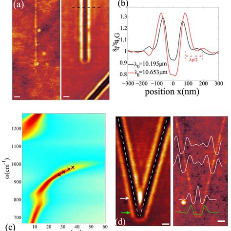 The Plasmon Dispersion And Near Field Imaging Near Ion Irradiated