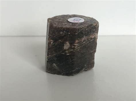 Apatite Crystal And Fossils