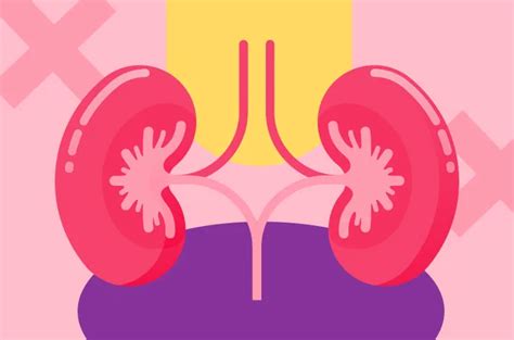 Ini 4 Pilihan Penanganan Untuk Mengatasi Kanker Ginjal