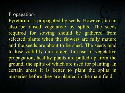 Pyrethrum Pptx Agriculture Industries