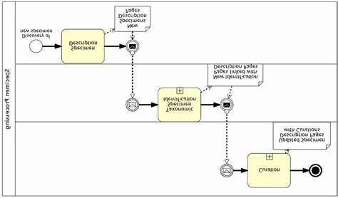 Sample Workflow For The Processing Of A New Specimen The Three Rows