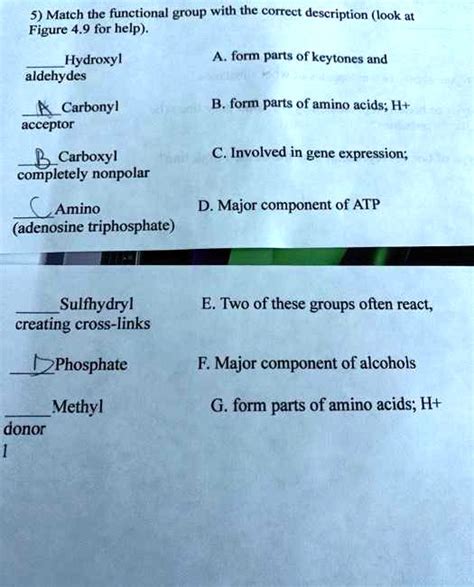 Match The Functional Group With The Correct Description Look At Figure For Help Hydroxyl