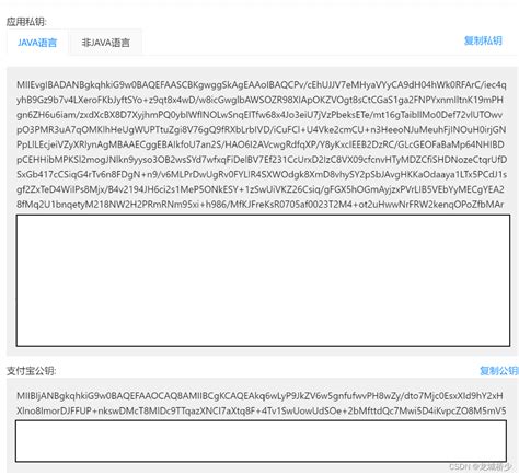 2024年最新版 Springbootvue整合支付宝沙箱支付功能，一步一步带您实现完整的支付宝支付功能vue支付宝支付 Csdn博客