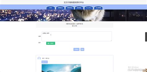毕设项目：艾贝尔宠物医院预约平台jspjavaspringmvcmysqlmybatis Csdn博客