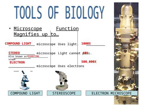 Ppt Microscopefunctionmagnifies Up To… Microscope Uses Light