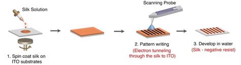 The General Procedure Of Silk Based Active Scanning Probe Lithography Download Scientific
