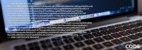 Pki Signing Requests And Certificate Issuance For Network
