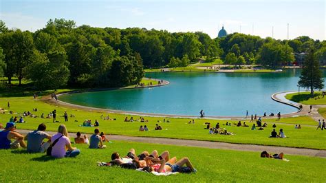 Mount Royal Park In Montreal Quebec Expedia Ca