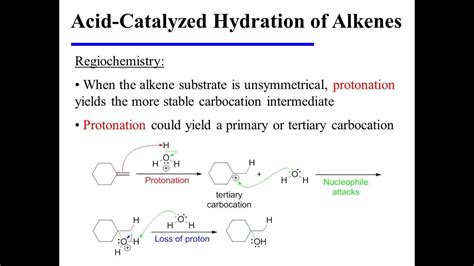 Acid Catalyzed Hydration Of Alkenes Youtube