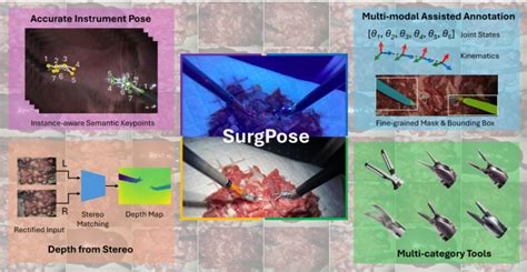 论文审查 Surgpose A Dataset For Articulated Robotic Surgical Tool Pose