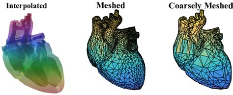 Illustration Of The Interpolated 3d Heart Model And Triangle Meshes Of Download Scientific