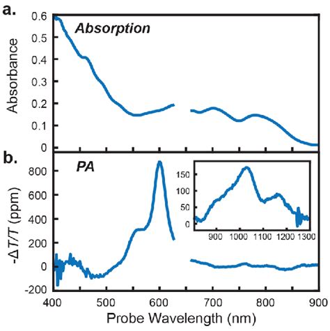 Steady State And Photoinduced Absorption Spectra For A Tsps Pdt Film