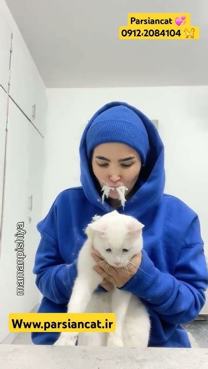 دیروز از بوسیدن گربه پست گذاشتم برام نوشته موی گربه پر از چرک و عفونت