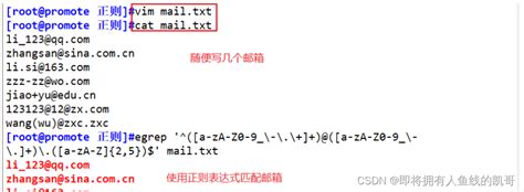 Shell脚本之正则表达式（加sort、uniq和tr）shell脚本里实现tr D Csdn博客