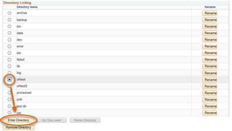use the peoplesoft file transfer protocol ftp utility it cornell