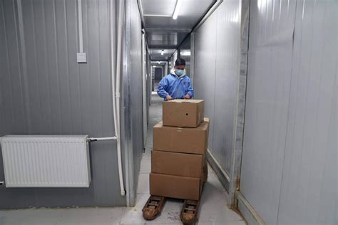 Дулааны аргаар боловсруулах технологийн горим зөрчсөн 0 8 тонн махыг устгалаа