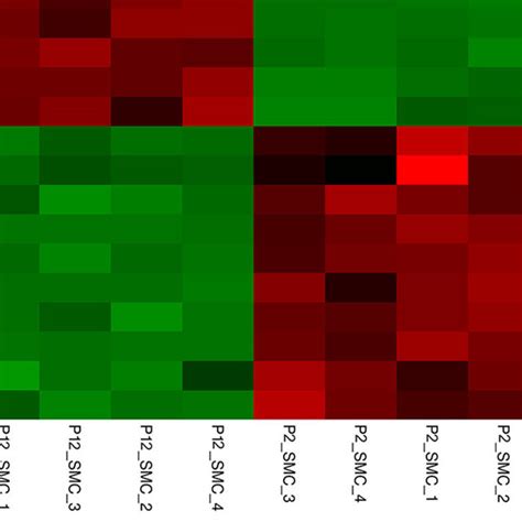 Changes Of ECM RECEPTOR INTERACTION Signaling Pathway A Map Of Download Scientific Diagram