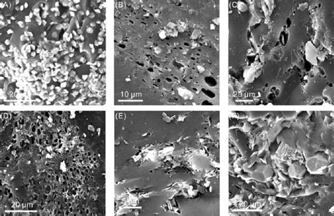 Sem Images Showing Types Of Pores In A Coal Sample A Sx006 15 1095