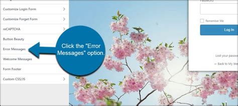 How To Customize Wordpress Login Error Messages And Hints
