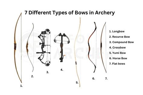 Types Of Bows In Archery Which One Suits You