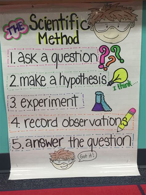 Chart Of Scientific Method Minimalist Chart Design