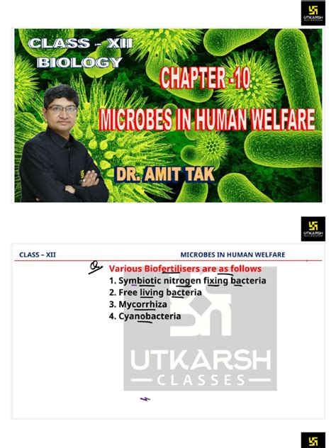 Part 06 Microbes As Biofertiliser And Problem Solving Day Pdf