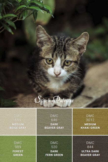Candid Kitten Embroidery Color Palette With Thread Codes