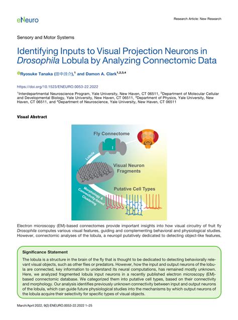 Pdf Identifying Inputs To Visual Projection Neurons In Drosophila