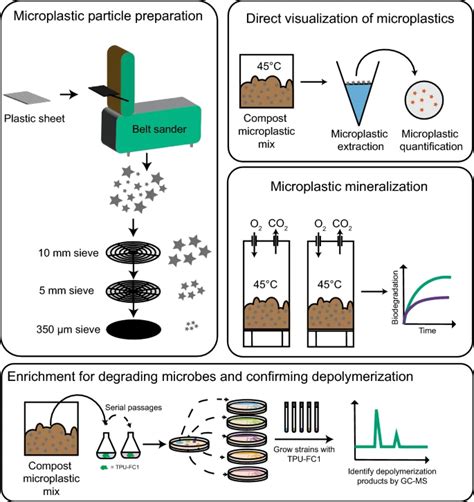 Researchers Develop Plant Based Biodegradable Microplastics The