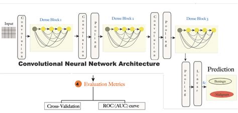 illustration of the breast dense workflow deep convolutional neural