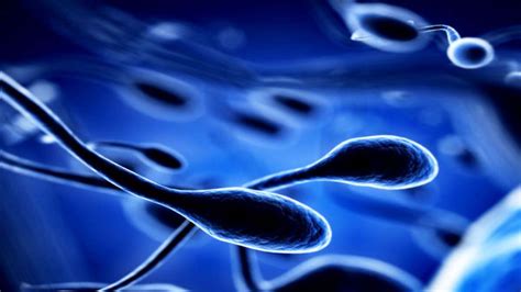 Yellow Semen Causes Symptoms And Treatment