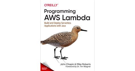 programmierung von aws lambda [book]