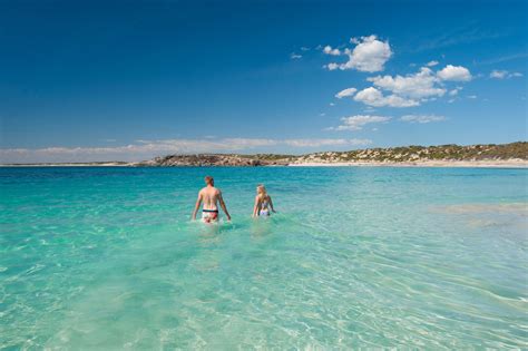 Yorke Peninsula Dolphin Beach Is A Must Visit Gem In